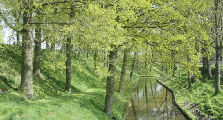 Steenwijk, tips: bekijk de leukste bezienswaardigheden Steenwijk